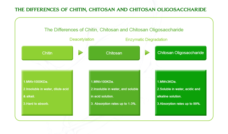 Chemical structure and physical properties of Chitosan Oligosaccharide
