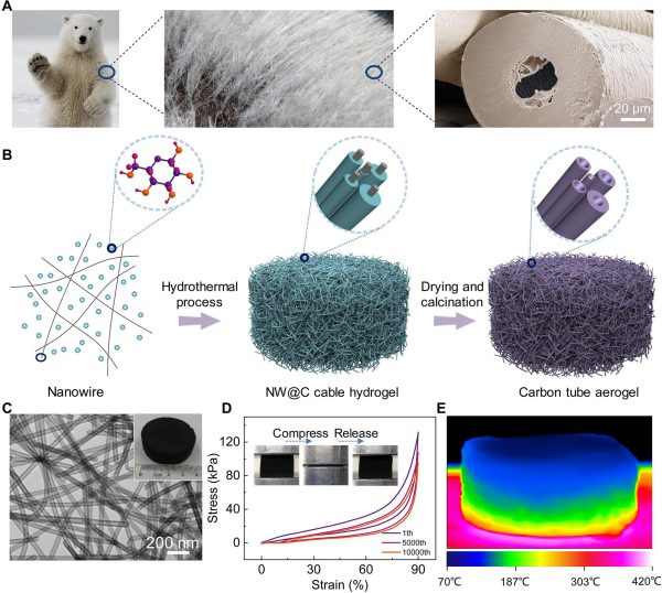 Chemical Structure and Physical Properties of Aerogel Lyphar Provide ...