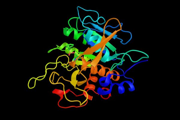 Chemical Structure and Physical Properties of Nattokinase Capsules ...