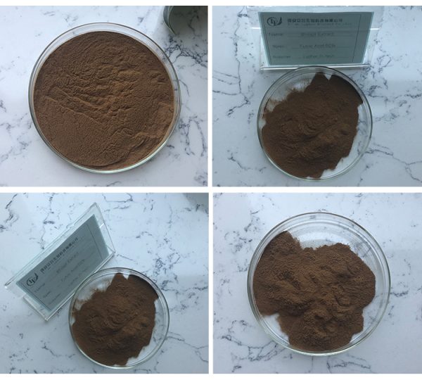 Comprehensive study on Shilajit Extract Lyphar Supply Good Quality