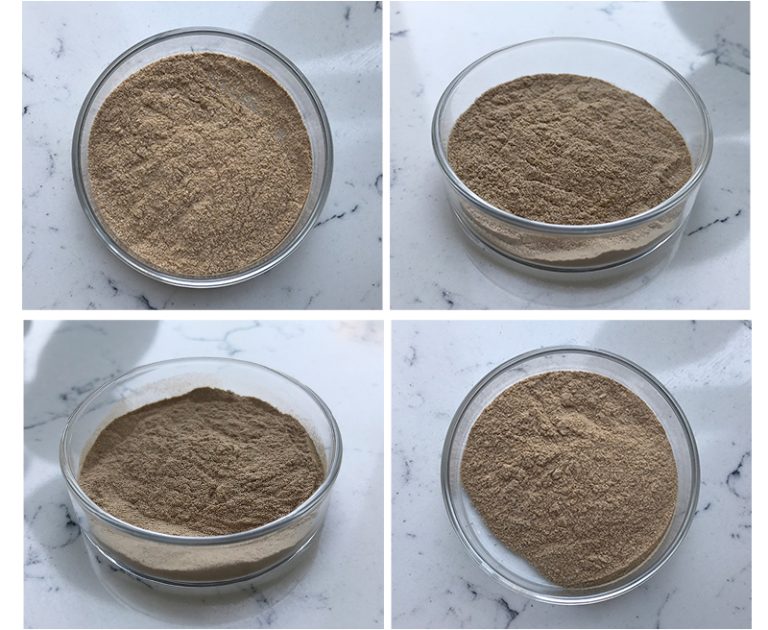 Origin Properties And Introduction Of Bacillus Megaterium Factory Sell Top Quality