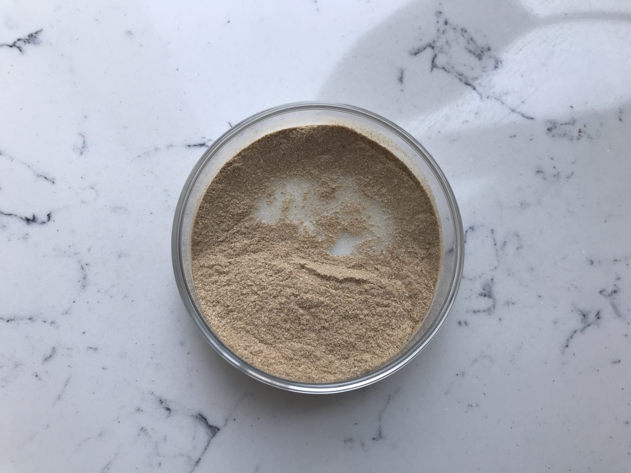 Bacillus Megaterium Protoplasm Preparation and Transformation ...