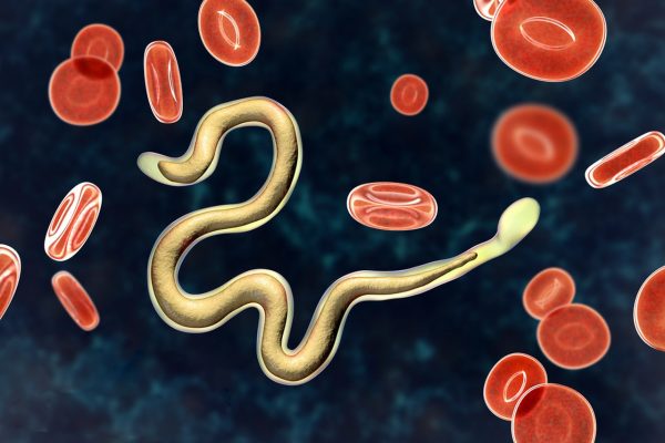 Origin Properties And Introduction Of Ivermectin Factory Sell Top Quality